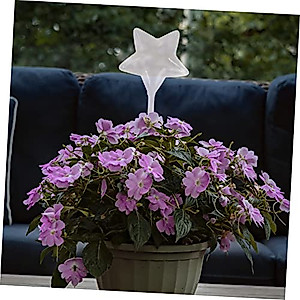 HANABASS Glass 2pcs Automatic Clear Droppers Travel Globes Outdoor Garden Vacation Device Indoor Irrigation Plants Gardens Cartoon Birds Plant Watering Drip Design Dripping Devices Tools