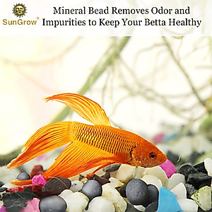 SunGrow Calcium-Rich Balls for Betta, Water Conditioner with Over 30 Beneficial Elements, Freshwater Fish Tank Decorations, 10 Pcs per Pack