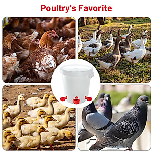 Sykria Chicken Water Cups, Automatic Waterer Kit for Poultry, 3/8 Inch Thread Filling Poultry Drinking Bowl Chicken, Ducks, Birds, Turkeys etc (6 Pack)