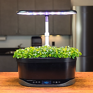 AeroGarden MicroGreens Kit for Bounty Gardens - Includes Seeds, Tray, and AeroFelt
