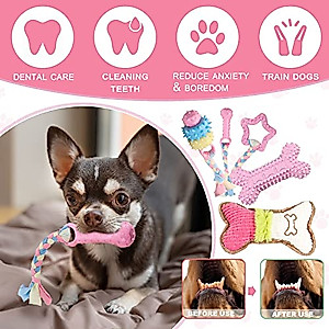 UETZLTB Puppy Chew Toys for Teething Small Dogs 5 Pack Puppy Toys Small Dog Chew Toys for Puppies Interactive Rubber Puppy Dog Teething Toys for Teeth Cleaning Funny Cute Soft Plush Squeaky Dog Toy