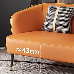 Couch for Living Room Nordic Simple Sofa Small Apartment Living Room Modern Clothing Store Double Cat Claw Fabric Sofa Light Luxury Sofa Sleeper Samll Sofa