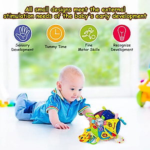 Busy Sensory Ball Baby Toys for 0-12 Months,Developmental Activity Ball Infant Toys with Baby Rattles Teether Crinkle Sounds,Discover Ball Gifts,Easy to Grasp Encourage Tummy Time Fine Motor Skills