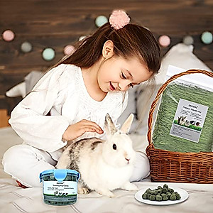 OHCOOL Timothy Hay Cubes 6oz -100% Natural Timothy Hay Made for Rabbits Sulcata Tortoise Guinea Pig, 6 oz