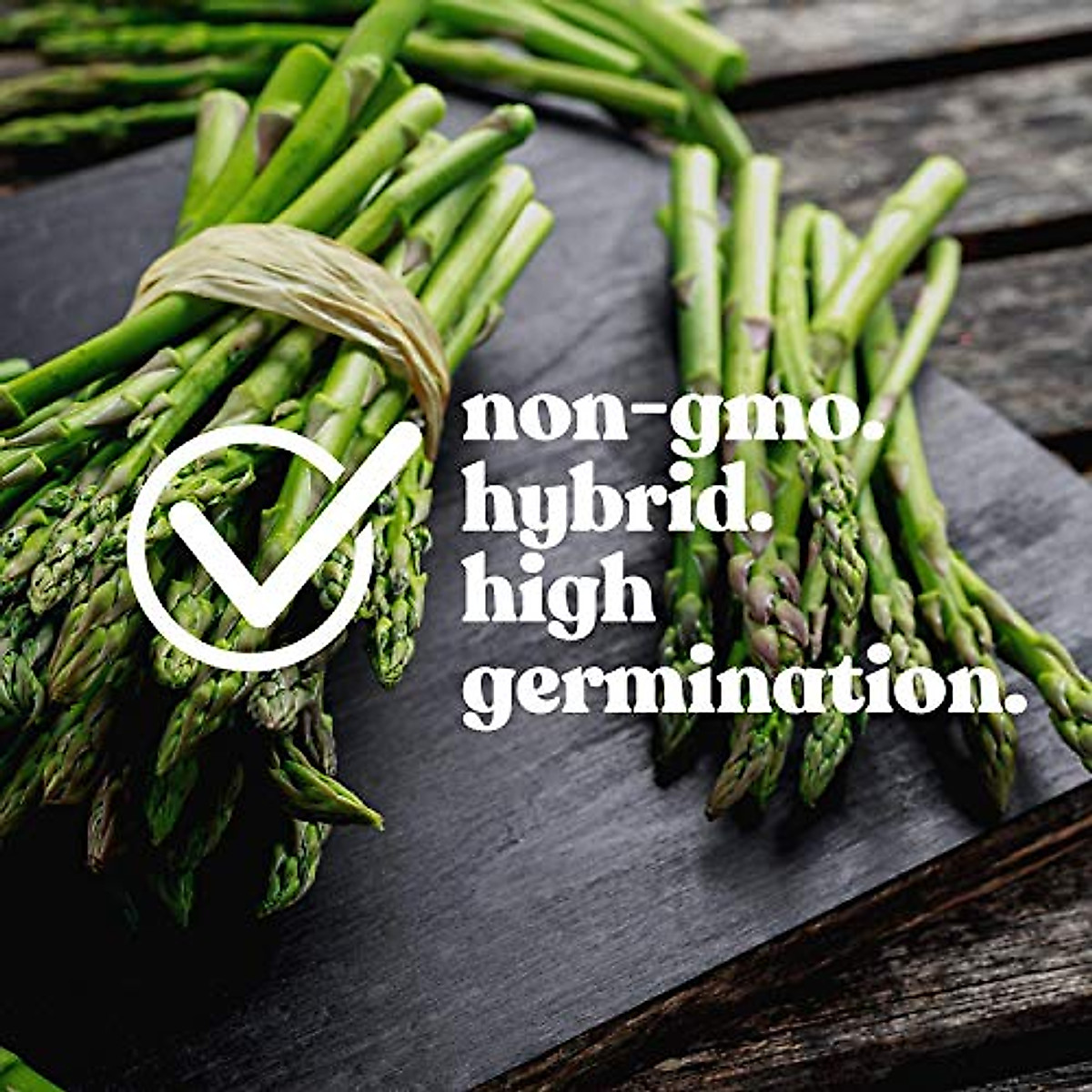 UC 157 F2 Asparagus Garden Seeds - 2 g Packet ~60 Seeds - Non-GMO, Hybrid, Perennial Vegetable Gardening Seeds
