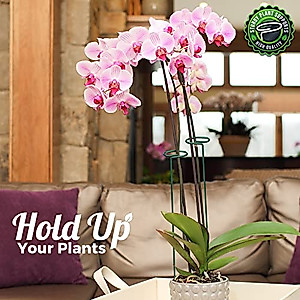 LEOBRO 4 Pack Plant Support Stakes, Garden Single Stem Flower Plant Support, Plant Cage Support Ring, Plant Sticks, Plant Stakes for Indoor Plants Amaryllis Orchid Peony Tomato Flower, 40CM/15.8INCH