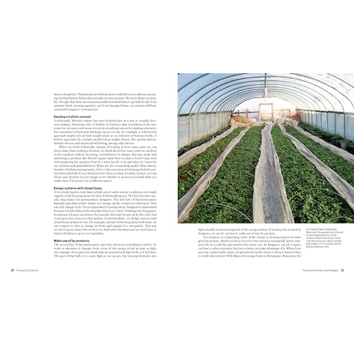 Practical Permaculture: for Home Landscapes, Your Community, and the Whole Earth