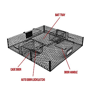 Squirrel Trap (No Bottom Tray) - Ideal for Chipmunks and Squirrels, Metal Construction, Holds up to 25 Squirrels, 2 Traps