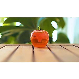 Raid Fruit Fly Trap Bundle Fruit Fly Traps for Kitchen, Fly Trap Indoor Use, Fly Traps, Fly Killer, Fly Catcher for Food Prep Areas, Gnat Trap Indoor Use (6 Pack)' (6 Pack, 12 Total Traps)