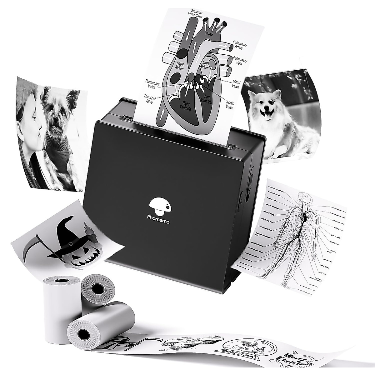 Phomemo Label Maker Printer Machine, M02 Mini Portable Printer, Thermal Inkless Sticker Printer, Pocket Portable Printer, Multifunction for Journal, Photo, Work Plan, Meeting Notes, Gift