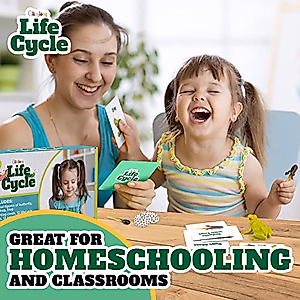 Life Cycle Kit Montessori - Realistic Figurine Toys, Kids Animal Matching Game with Frog, Ladybug, & More - Includes 24-Piece, Science, Learning & Education Toys, Fun Learning Game for Children 3+
