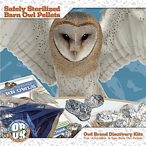 20 Small Barn Owl Pellet Dissection Kit with Paddle Pick & Bone Charts