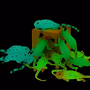 Glow in The Dark Lizard Set,12 Pack Stretchy Realistic Reptile Toy Set for for Kids Boys Girls,Great for Birthday,Themed Parties,Goodie Bag Fillers,Carnival Prizes