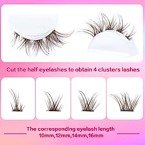 Brown Lashes Anime Eyelashes Natural Look Wispy Fake Eyelashes Manga Clear Band Cluster Eye Lashes Individual DIY False Eyelashes Pestañas Postizas 10 Pairs ALICROWN