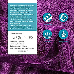 HYSEAS Flannel Fleece Throw Blanket Purple - Super Soft Plush Microfiber Solid Blanket for Couch, Bed, Chair, Sofa - Fuzzy Cozy Lightweight - 50x60 Inch
