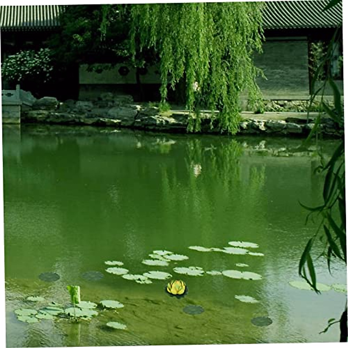 DECHOUS Lily Pad 10pcs Fish Tank Simulated Lotus Leaf Faux Greenery Artificiales para Fake Plant Decor Water Flower Floating Foam Water s Pond Lilly Pad Garden Lotus Leaves