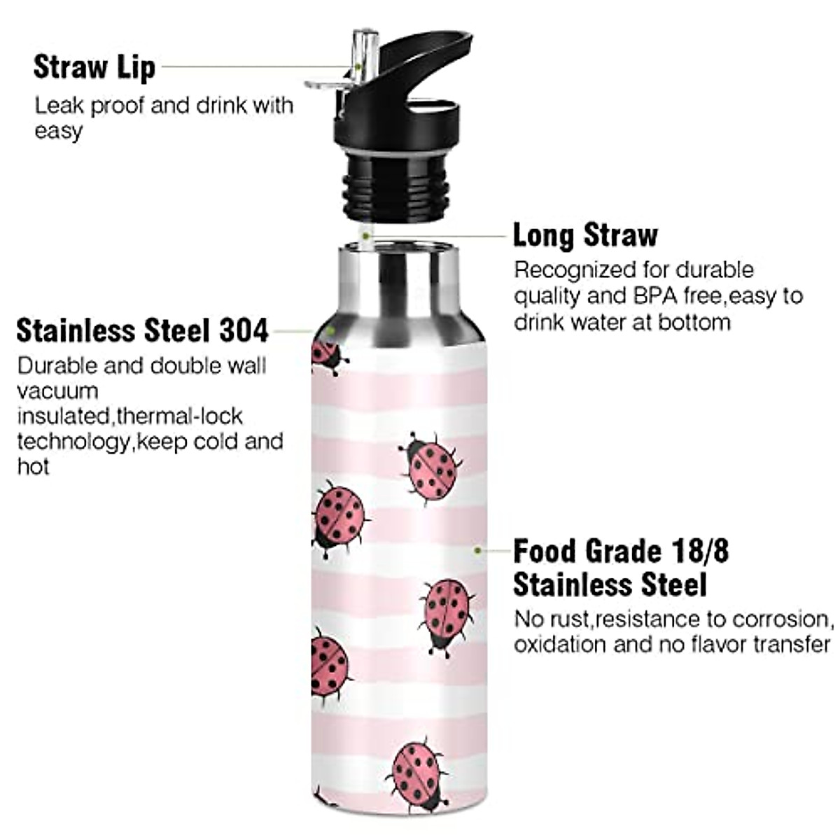xigua Ladybug Water Bottle Double Walled Stainless Steel Leak Proof Thermo Flask for Sports Gym Cycling Outdoor,20 oz.