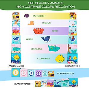 Ocean Sorting & Stacking Toys for Toddlers 1-3 – Educational Number Blocks Toys with Bathtub Toys for Boys & Girls – Our Montessori Toys for Toddlers 1 Year Old to 3 Year Old Make a Great Gift