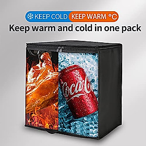 Bodaon 2-Pack Insulated Reusable Grocery Shopping Bags, Picnic Cooler Bag with Zipper Zippered Top Cold, Black