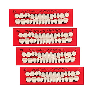 4 Sets Acrylic Resin Fake Teeth Complete Acrylic Resin Teeth Denture Dental Teeth Dentures Upper and Lower Synthetic Resin Teeth for Replacement DIY Halloween, 112 PCS, 23 A2