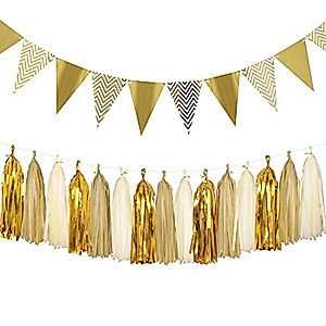 Aonor Sparkly Paper Pennant Banner Triangle Flags Bunting 8.2 Feet and Tissue Paper Tassels Garland 15 pcs for Baby Shower, Birthday Party Decorations, Metallic Gold