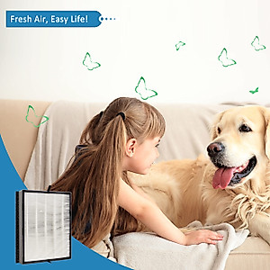 Rioche Premium H13 HEPA-Odor Replacement Air Filters, Compatible with Alen BreatheSmart 45i or Flex Air Purifier, Compare to Part NO. B4-Fresh (Old Part Number FL40), 1 HEPA&1 Carbon Pre-filter