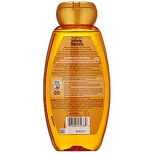 Garnier Whole Blends Shampoo with Moroccan Argan & Camellia Oils Extracts, 12.5 Fl Oz (Pack of 1)