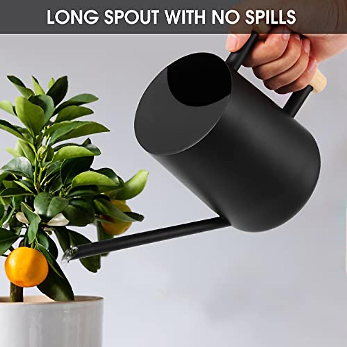 Watering Can Indoor Plants, 35 oz/1000 ml Metal Stainless Steel Watering Can Small Modern Watering Pot with Long Spout for Indoor House Plants Bonsai Outdoor Garden Flower Decorative (Black)