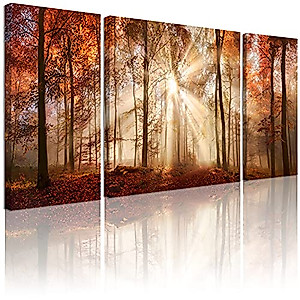 Sdmikeflax Canvas Wall Art for Living Room Large Size, 3 Piece Fall Forest Wall Art for Bedroom Bathroom, Large Nature Wall Art Orange Wall Decor, Autumn Landscape Wall Pictures for Office 48" X 24"
