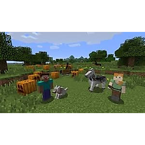 Minecraft: Wii U Edition - Wii U Standard Edition