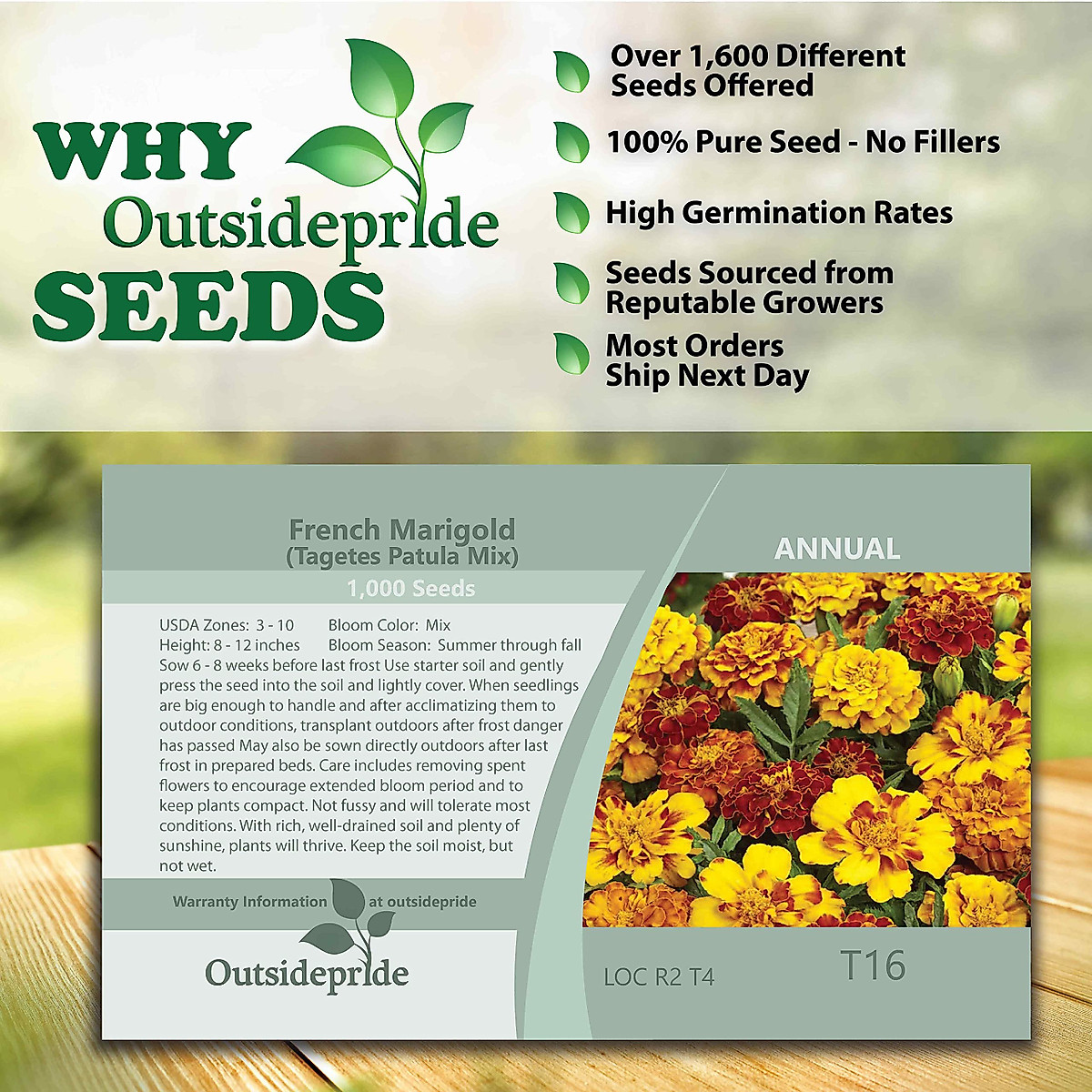 Outsidepride Tagetes Patula French Marigold Garden Flower Seed Mix - 1000 Seeds