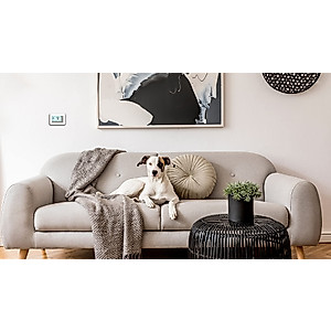 Honeywell Home RTH7560E 7-Day Flexible Programmable Thermostat-Extra-Large Backlit Display, White