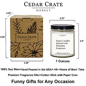 Funny Housewarming Gifts for New Home, New Apartment, Moving Away Gifts Ideas, New Home Gifts for Home, New Home Gift Ideas for Women, Men Best Presents for Friends 100% Soy Wax Candles Made in USA