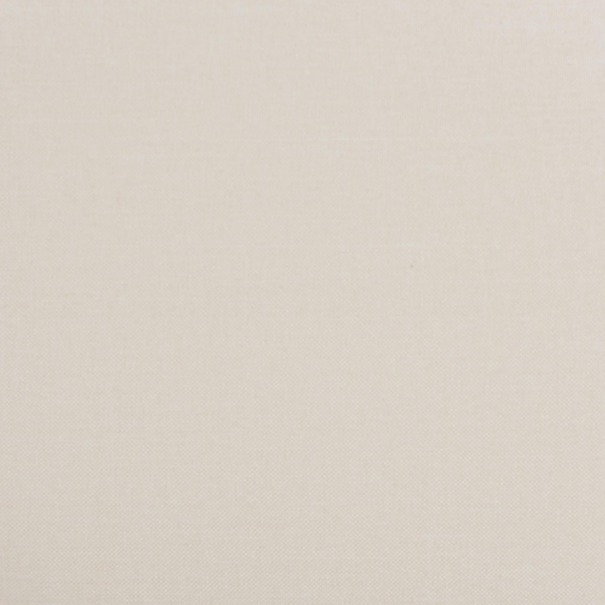 Baxton Studio Dannell Dining Chairs, Set of 2, Cream/Black/Light Brown