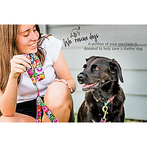 Lucky Love Dog - Easy Click Buckle Dog Collar with Leash Set Combo, Durable & Comfortable Collar for Male & Female Dogs, Pet Collar for Small to Large Dogs, Secure Fit - Blackbird Combo, Small