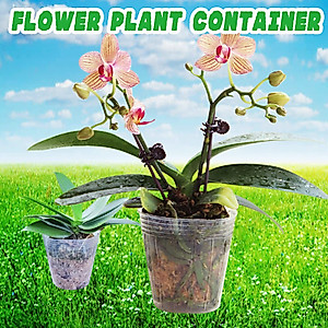 Baaxxango 48 PCS Plant Nursery Pots,Transparent Plastic Gardening Pot,Soft Clear Plastic Planter with Drainage Hole for Seedling Succulent Vegetable with 48 Labels,6/5/4/3 Inch