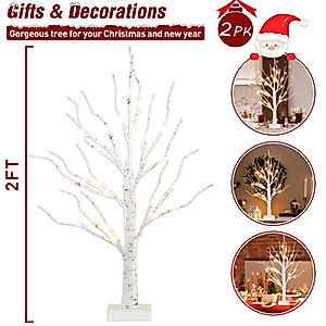 PEIDUO Easter Decorations for The Home, Set of 2 Easter Tree Battery Powered Timer, Lighted Birch Tree with LED Lights, Mantle Decor Lighted Trees for Decoration Inside (2FT Warm White)