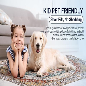 Euvmgis Indoor/Outdoor Area -Rug White Black Simple Diamond Grid Easy -Cleaning, Non Shedding, Bed Room, Living Room, Dining Room, Deck, Backyard, Patio, High Traffic 2 x 3 Feet / 60x90 cm