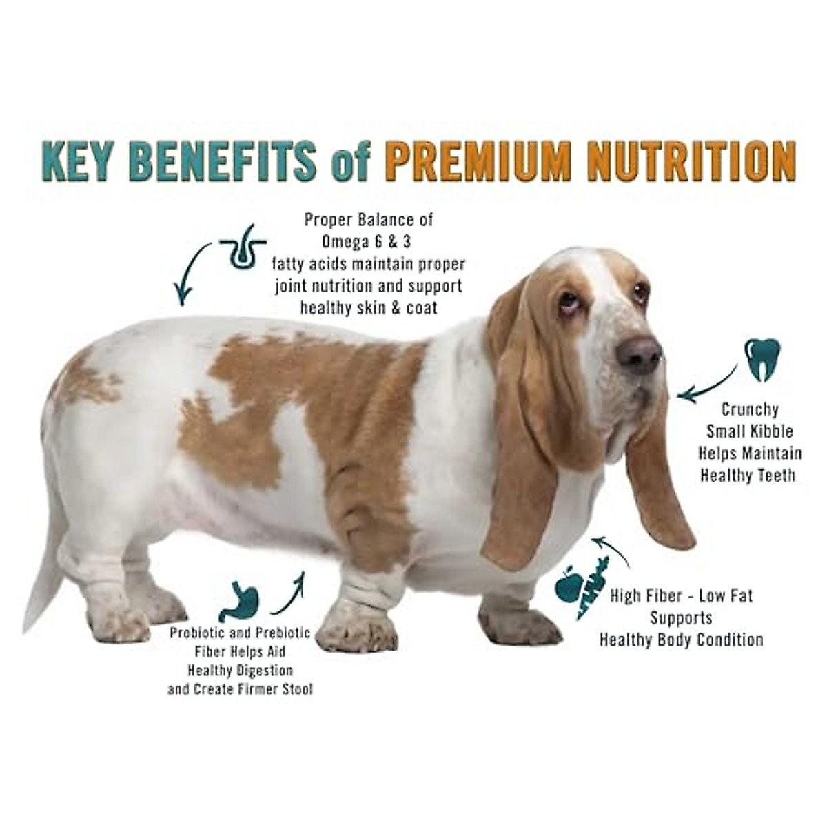 Chicken Soup for The Soul Classic Dry Adult Weight Care Dog Food, Brown Rice, Chicken & Turkey Recipe, 4.5 Pound Bag | Soy, Corn & Wheat Free, Low Calorie Dog Food Made with Real Ingredients