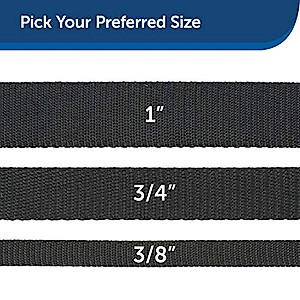 PetSafe Nylon Dog Leash - Strong, Durable, Traditional Style Leash with Easy to Use Bolt Snap - 3/8 in. x 6 ft., Black