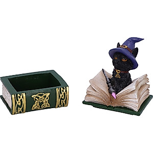 Nemesis Now Binx Small Witches Familiar Black Cat and Spellbook Figurine Box, Green, 11cm
