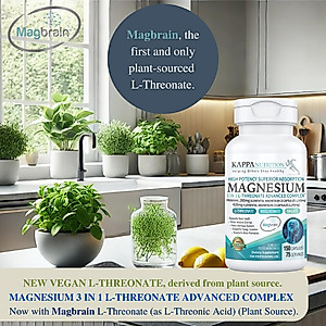 (150 Capsules), 2,253mg Per Serving, Providing 420mg Elemental Magnesium, L-Threonate, Bisglycinate Chelate, Malate, from Kappa Nutrition.