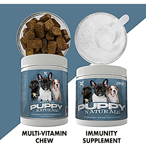 Muscle Bully Puppy Naturals | Muscle Building Immunity Milk Replacer + 10 in 1 Puppy MultiVitamin Nutrient Chew | Veterinarian Formulated. Nutritional Support for Growing Puppies (120 Servings).