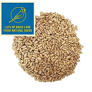 Sunflower Chips Shelled No Waste Bird Seed (20 Pounds)