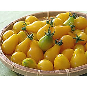 Tomato,Yellow PEAR Tomato Seed, Heirloom, Non-GMO, 25+ Seeds, Tasty, Great for Salads