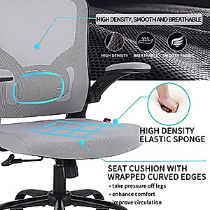 Flysky Ergonomic Office Chair, Mesh Home Office Desk Chair with Flip-up Arms and Lumbar Support, Height Adjustable, Swivel, Gray