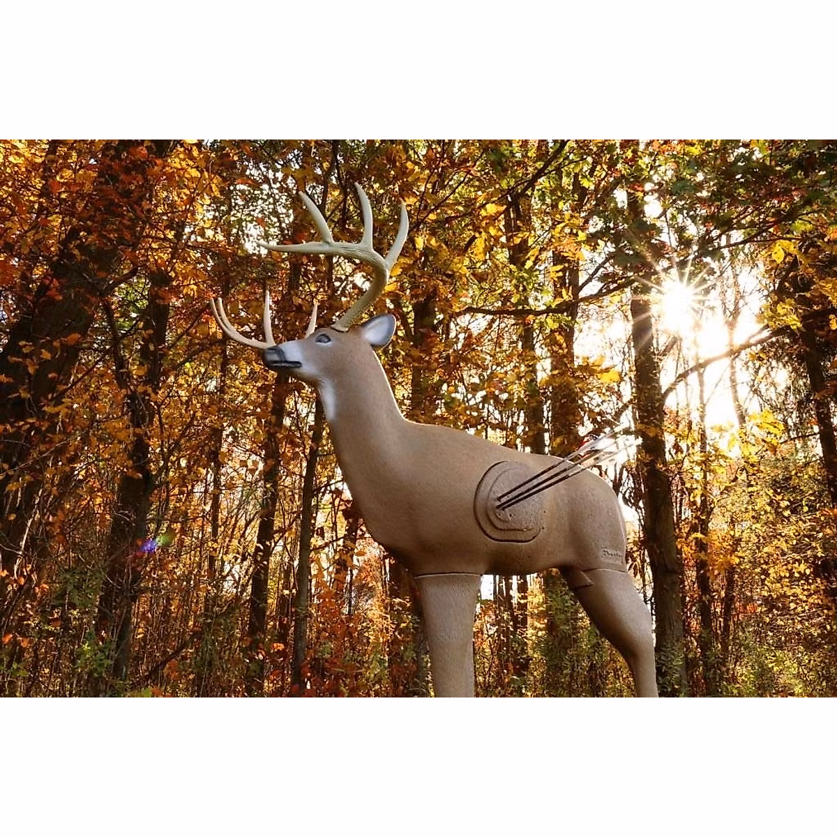Field Logic Replacement Insert for Shooter Buck 3D Archery Targets