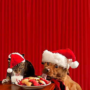 Red Backdrop Curtains 2 Panels 5ft x 10ft Polyester Photo Backdrop Drapes for Wedding Christmas Party Decorations