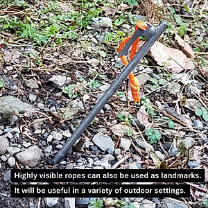 TITAN MANIA Titanium Tent Stakes 7.87 inch 20 cm, Tent Pegs, Lightweight, Sturdy, Outdoor Gear, Camping Equipment, 6 Pack