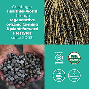 Navitas Organics Acai Powder, 4oz. Bag 38 Servings — Organic Non-GMO, Freeze-Dried, Gluten-Free